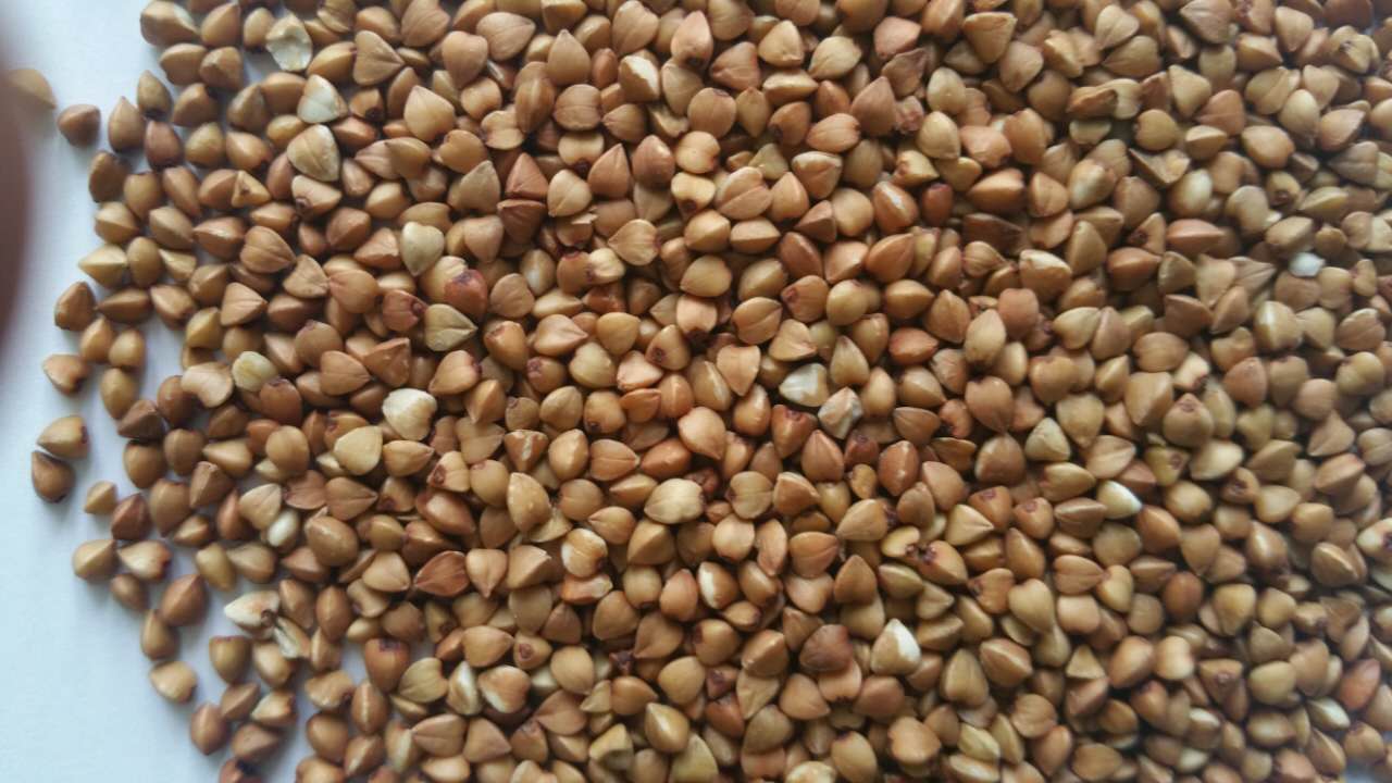 roasted buckwheat kernel – NGOMI TRADING COMPANY LIMITED